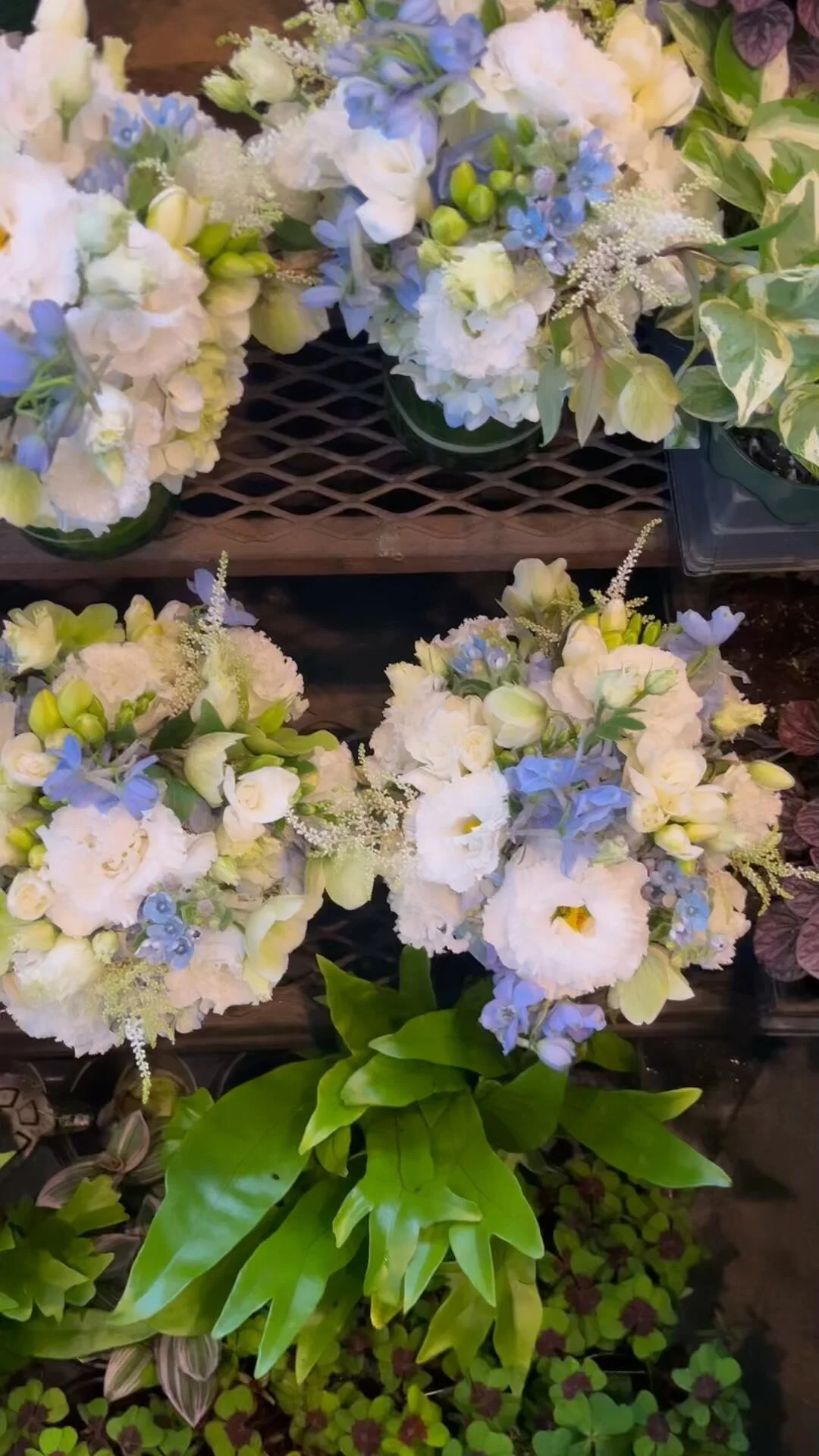 West Village Flower of New York