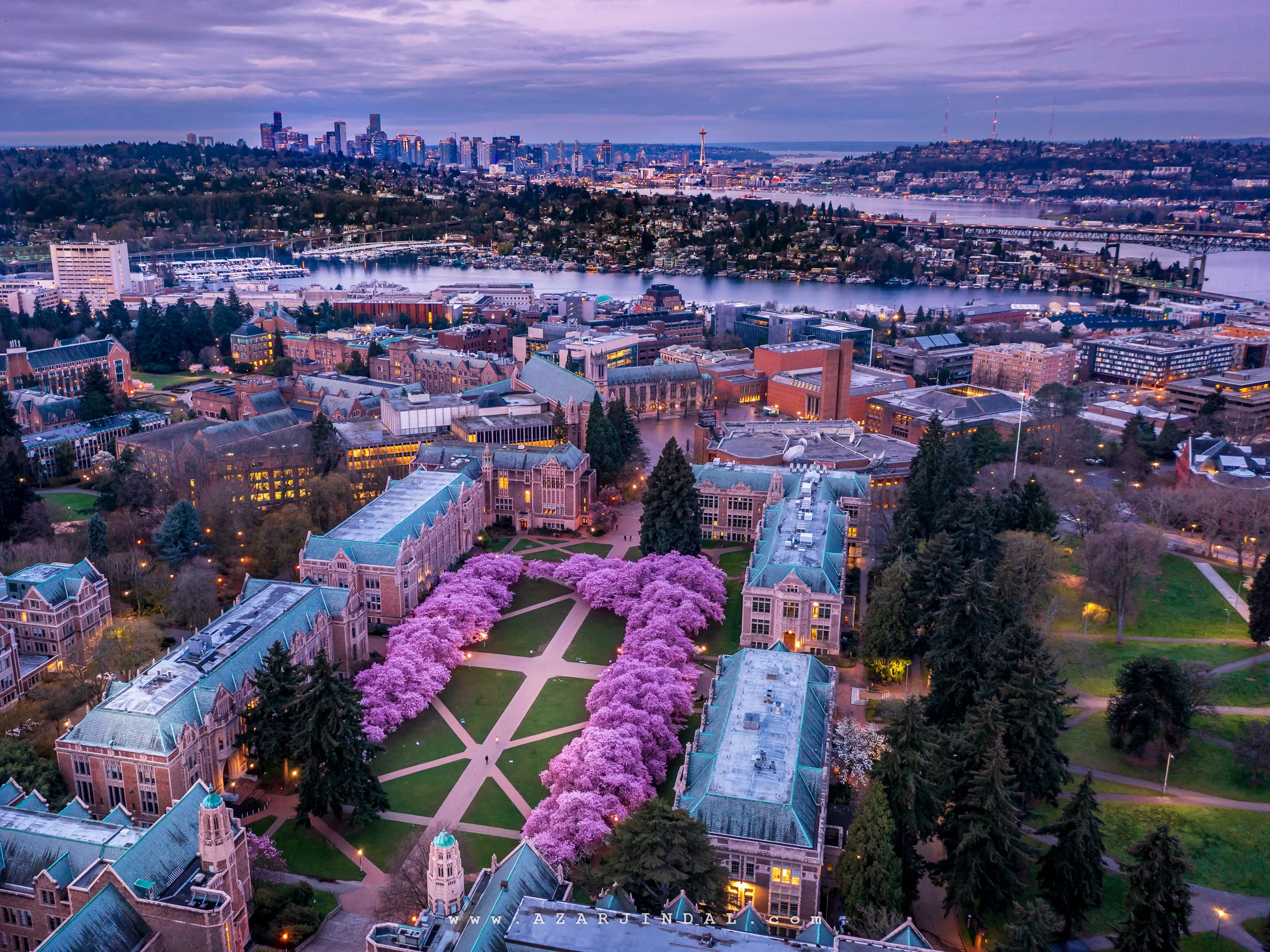 Portfolio of Photographer | Azar Jindal. | Azar Jindal. Photography