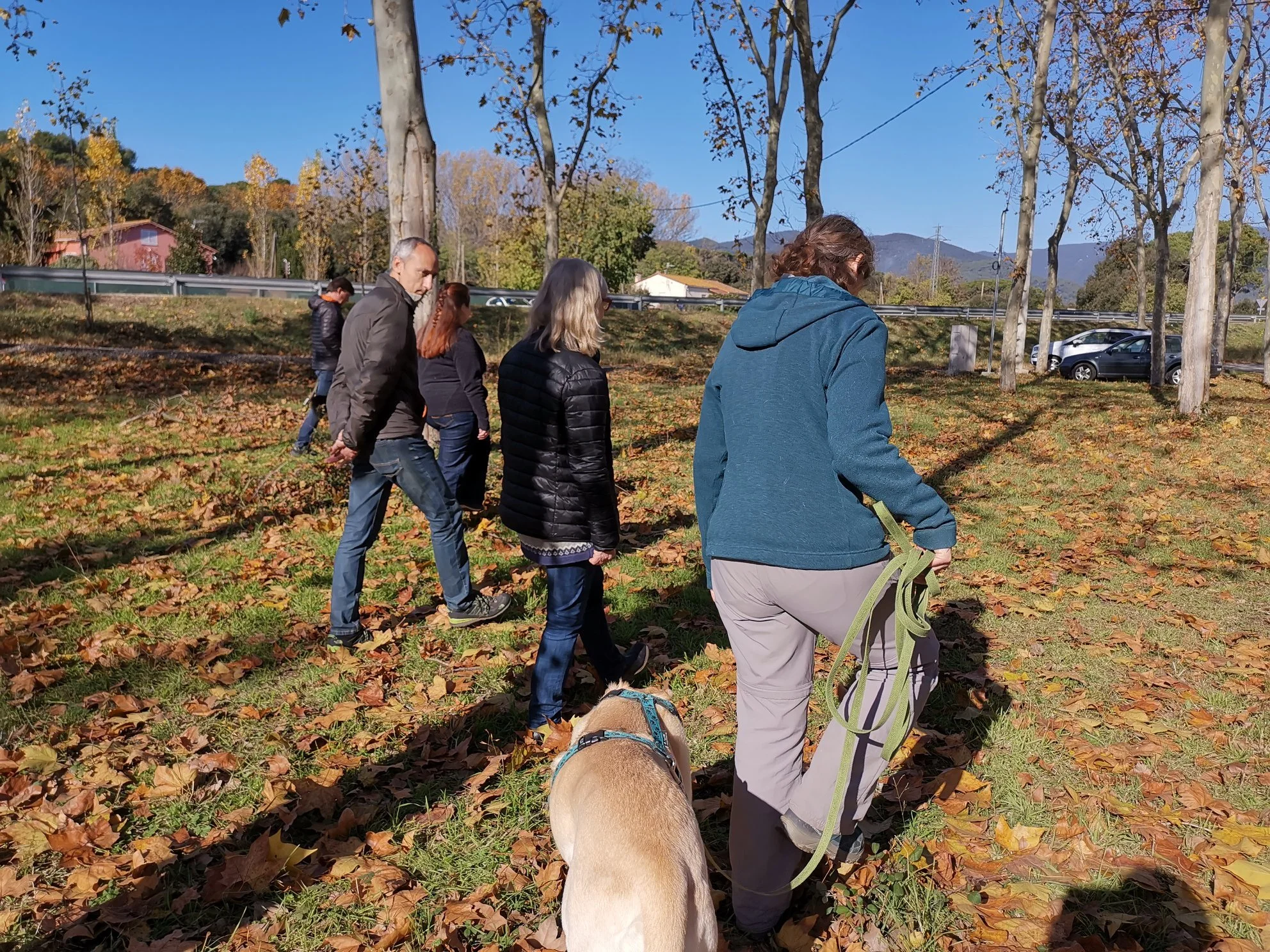The wonder of parallel walking — Smiling Leash