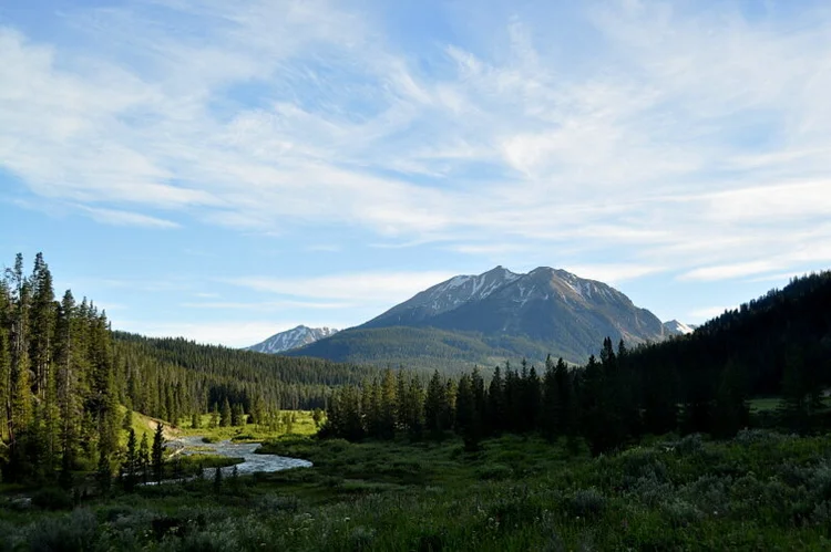 Ash River Australian Shepherds