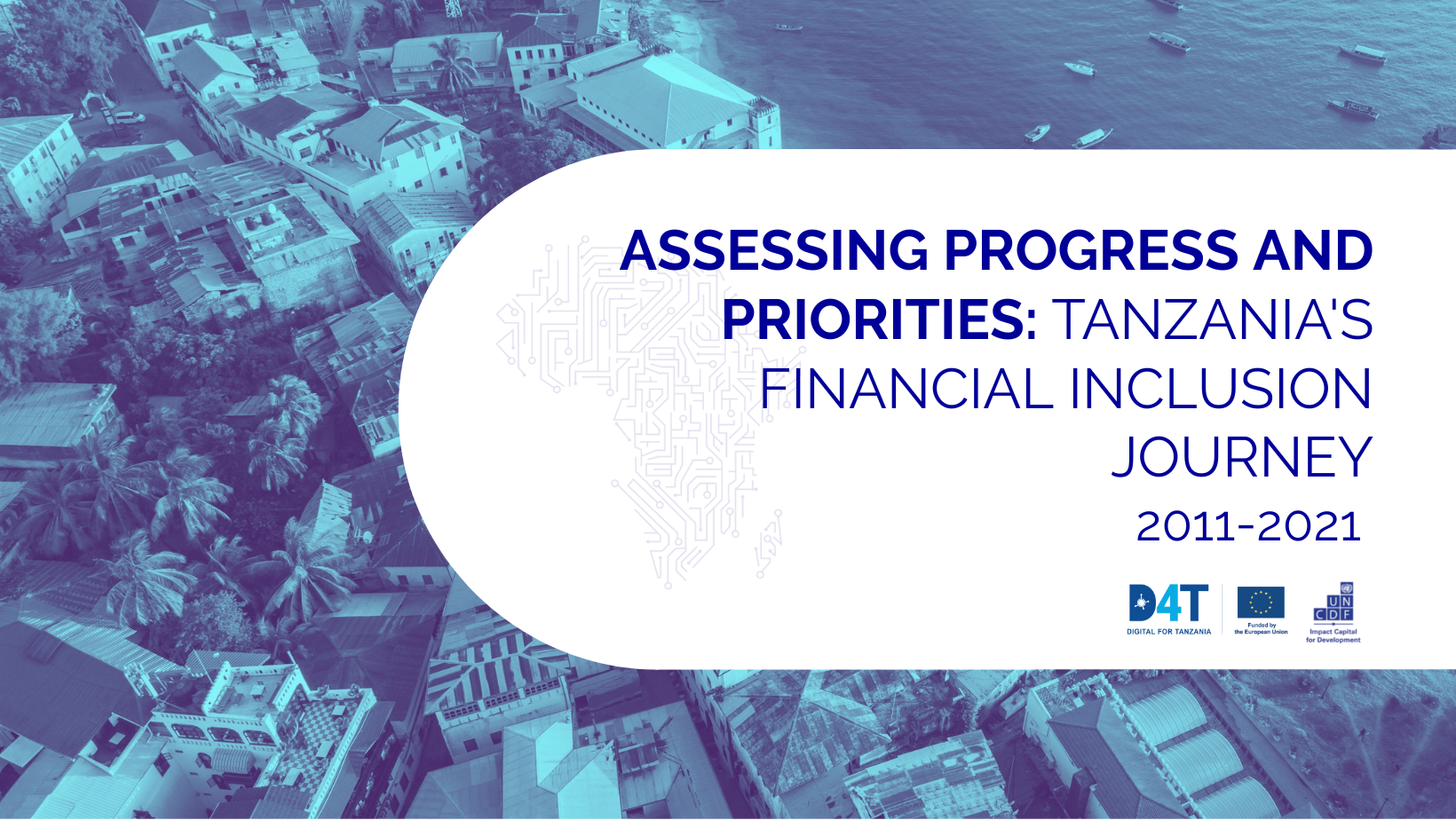 Insights for Tanzania: What global data reveals about financial ...