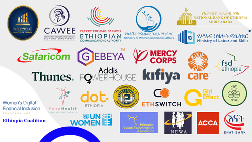 Introducing the 2023 WDFI Advocacy Hub members — UNCDF Policy Accelerator