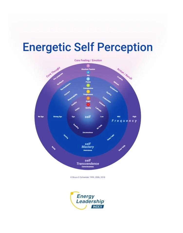Energetic Self Perception Chart — Wild Within Coaching