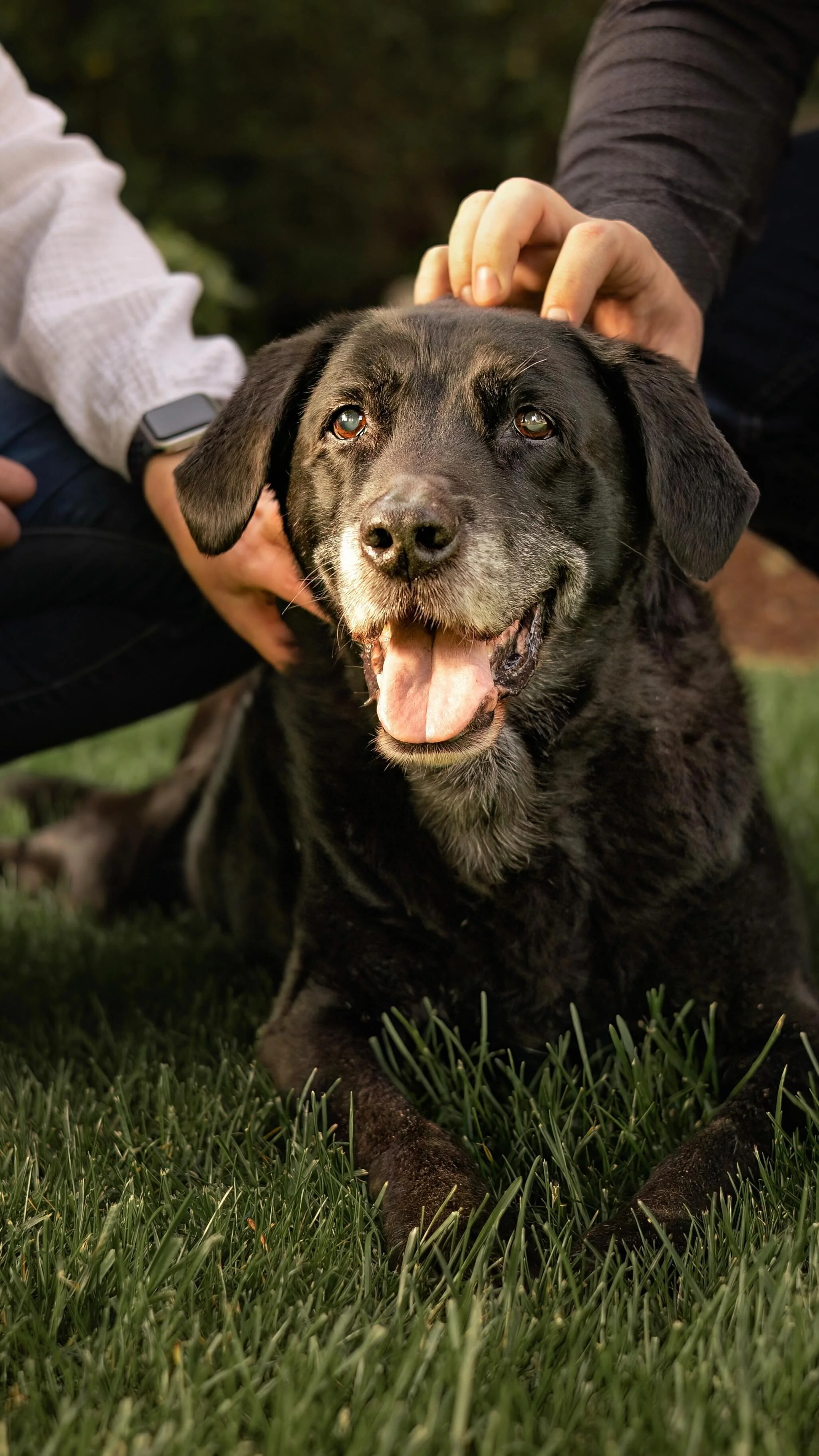 Fur Real Life Photography