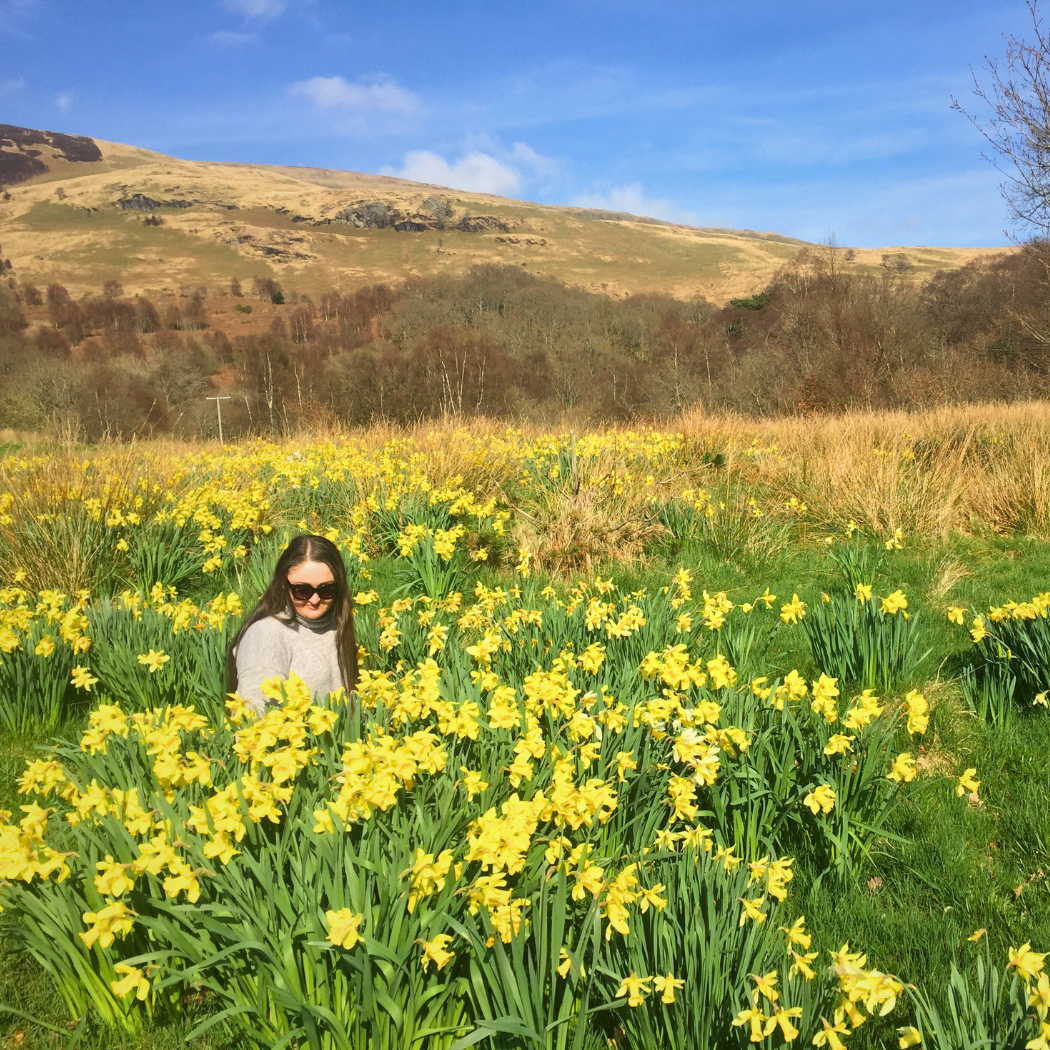 Best Time to Travel to Scotland: A Seasonal Guide for Travellers - Ruby ...