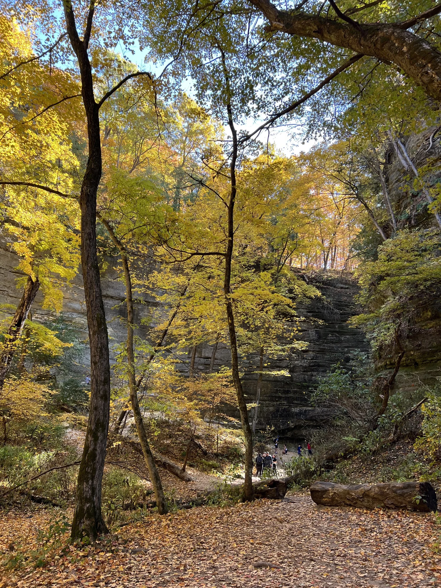 25 Fun Things to Do in Chicago This Fall - Ruby Travels — Ruby Travels