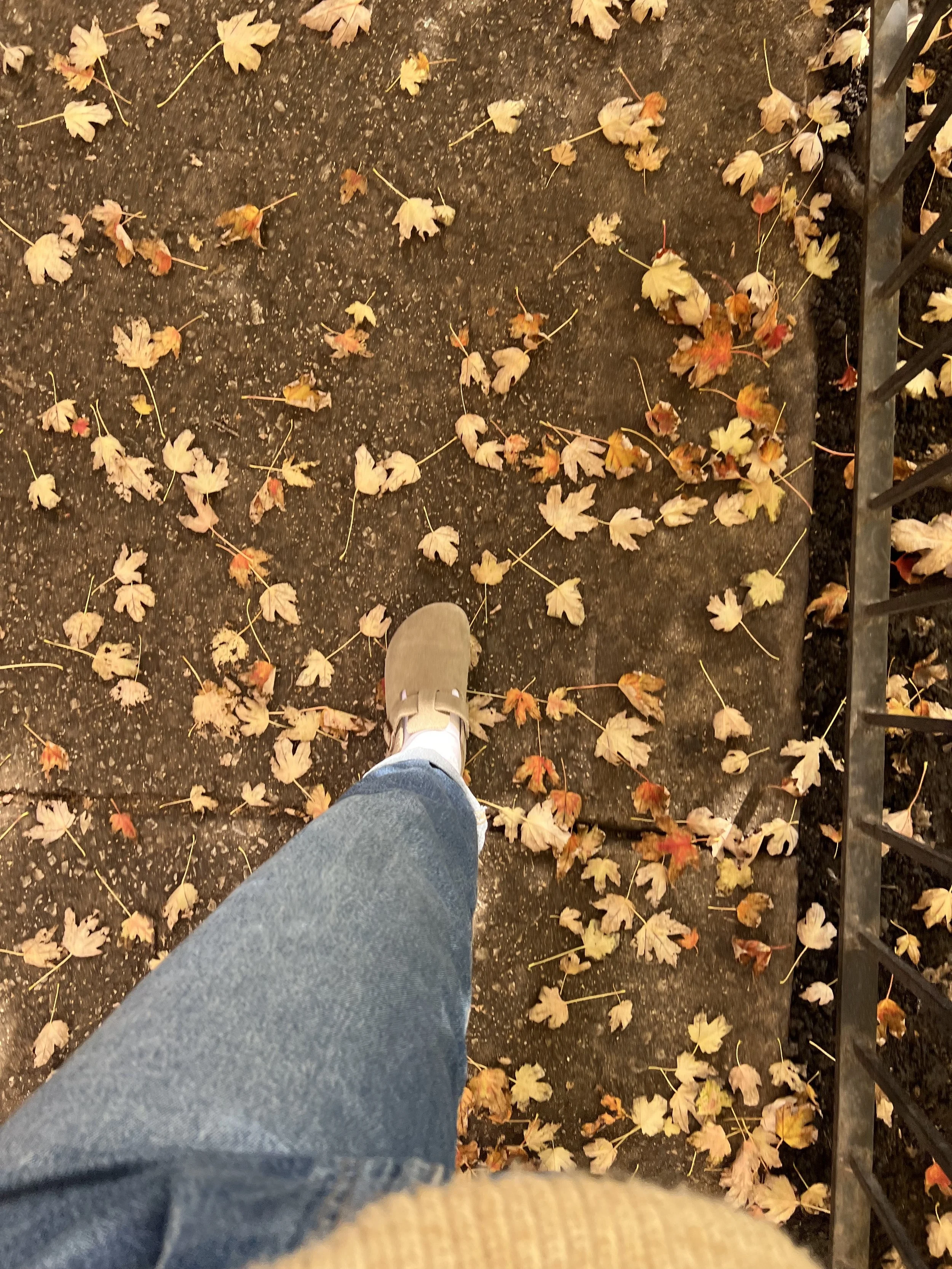 25 Fun Things to Do in Chicago This Fall - Ruby Travels — Ruby Travels