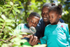 Sunshine and Smiles: 10 Unbeatable Family Activities for Sunny Days ...