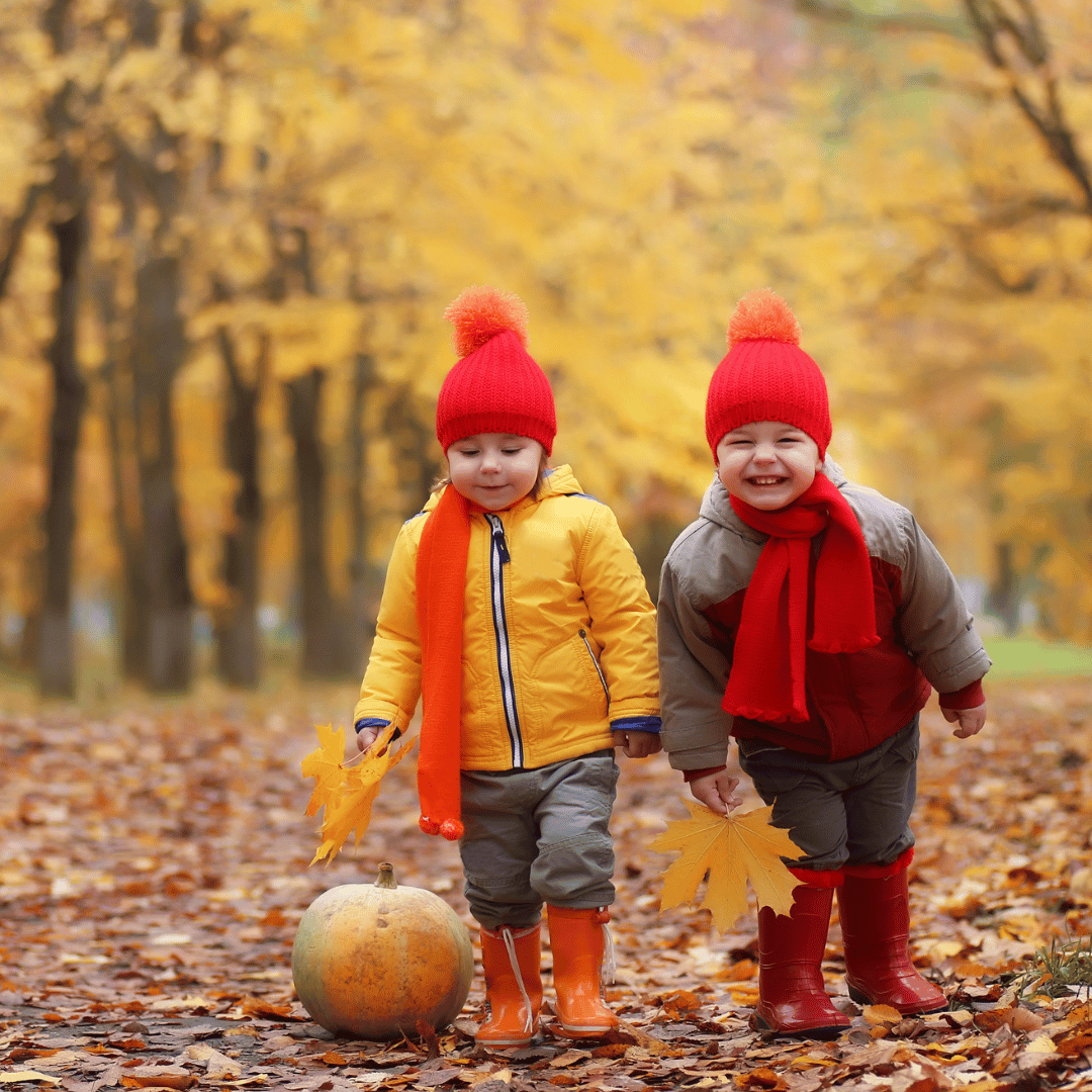 Fall Frenzy: 5 Outdoor Activities to Make the Most of Autumn With Your ...