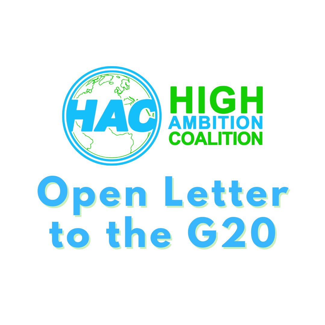 Statements — The High Ambition Coalition