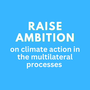 The High Ambition Coalition