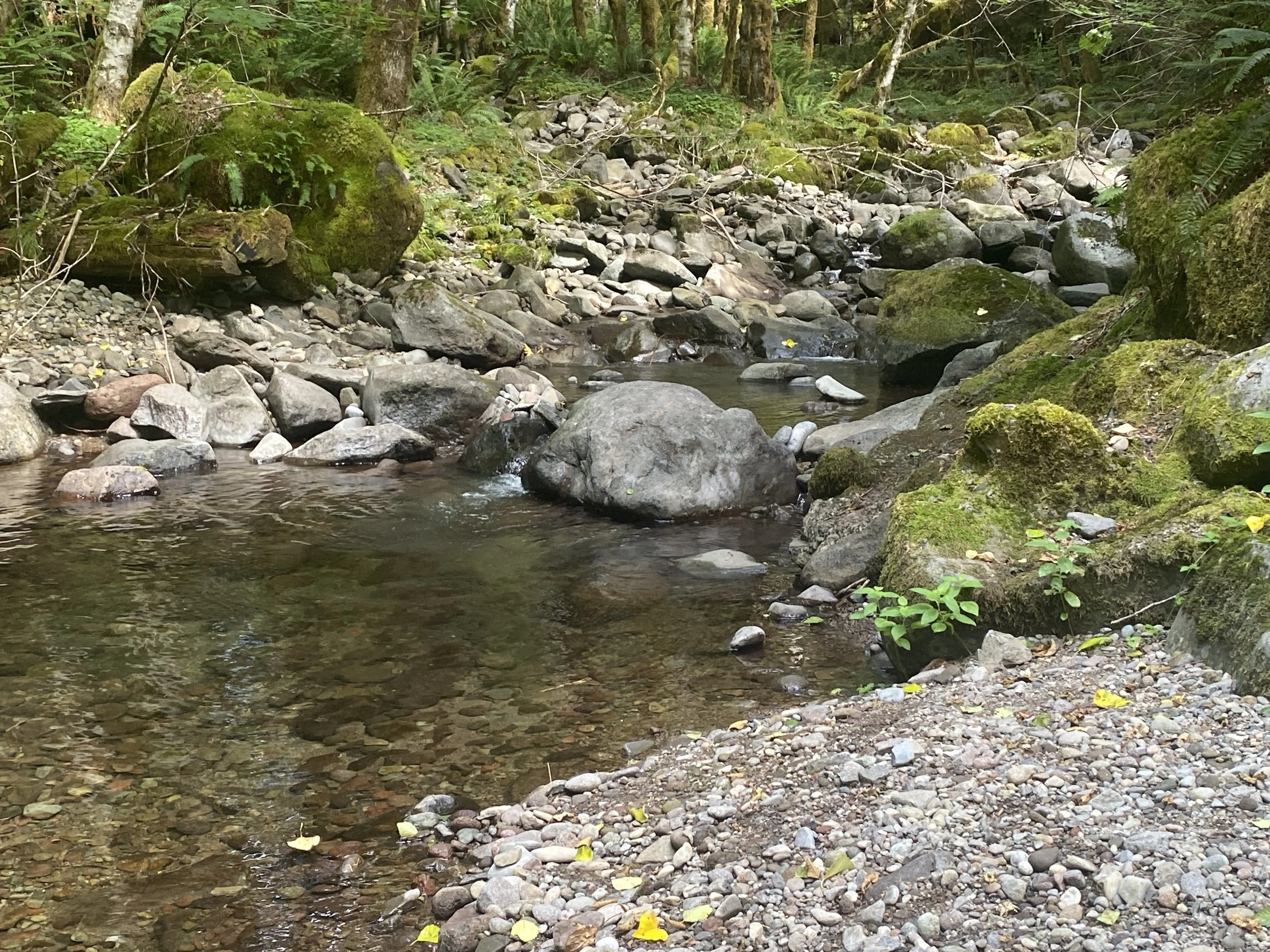 The Reality of The Vacuum — Jim Mercurio. Writer of Things.