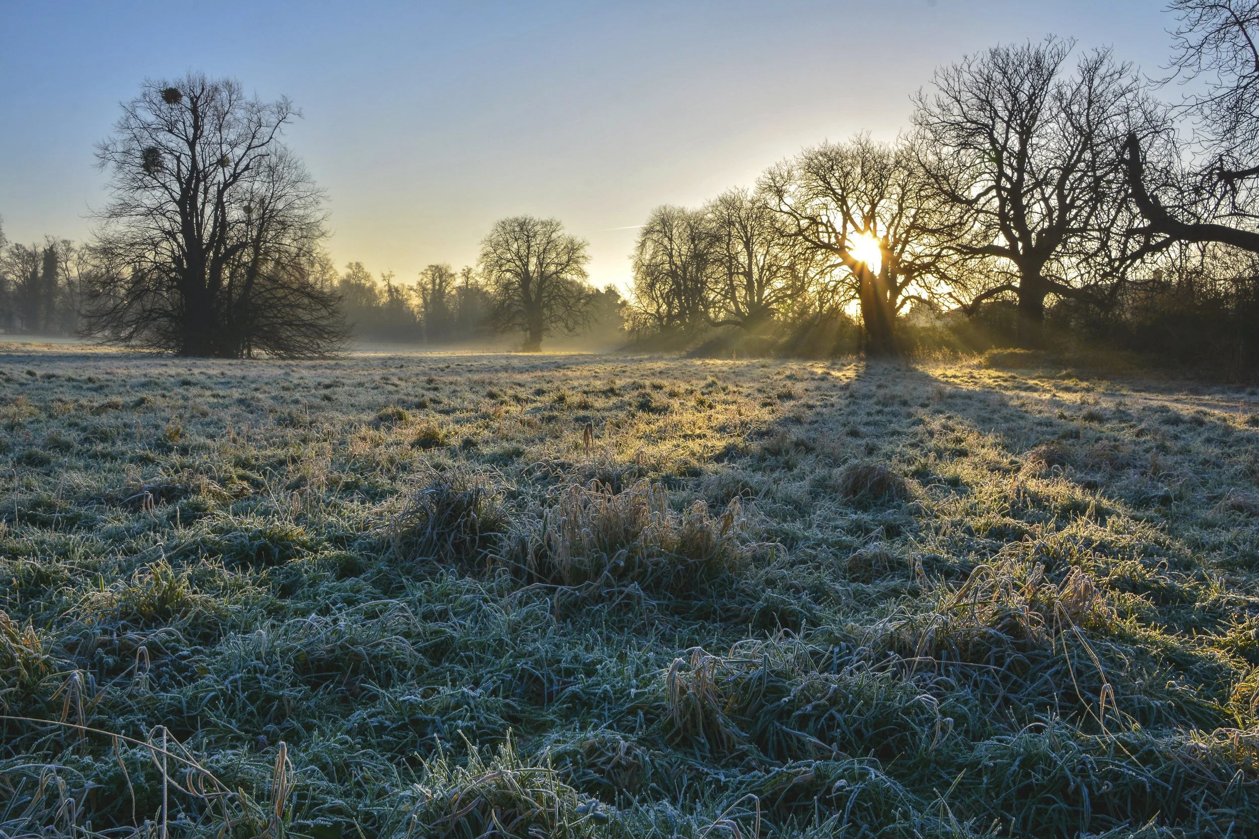 Abbey Fields - Histon and Impington