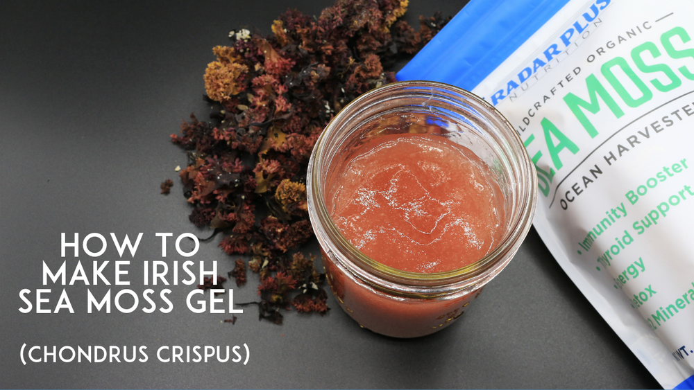 Premium Gold, Purple & Irish Sea Moss | Sustainably Sourced | Radar ...