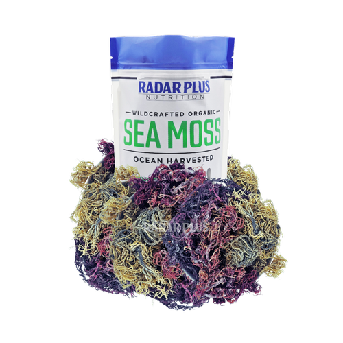 Premium Sea Moss Supplements | Sea Moss Capsules & Raw Sea Moss – Radar ...