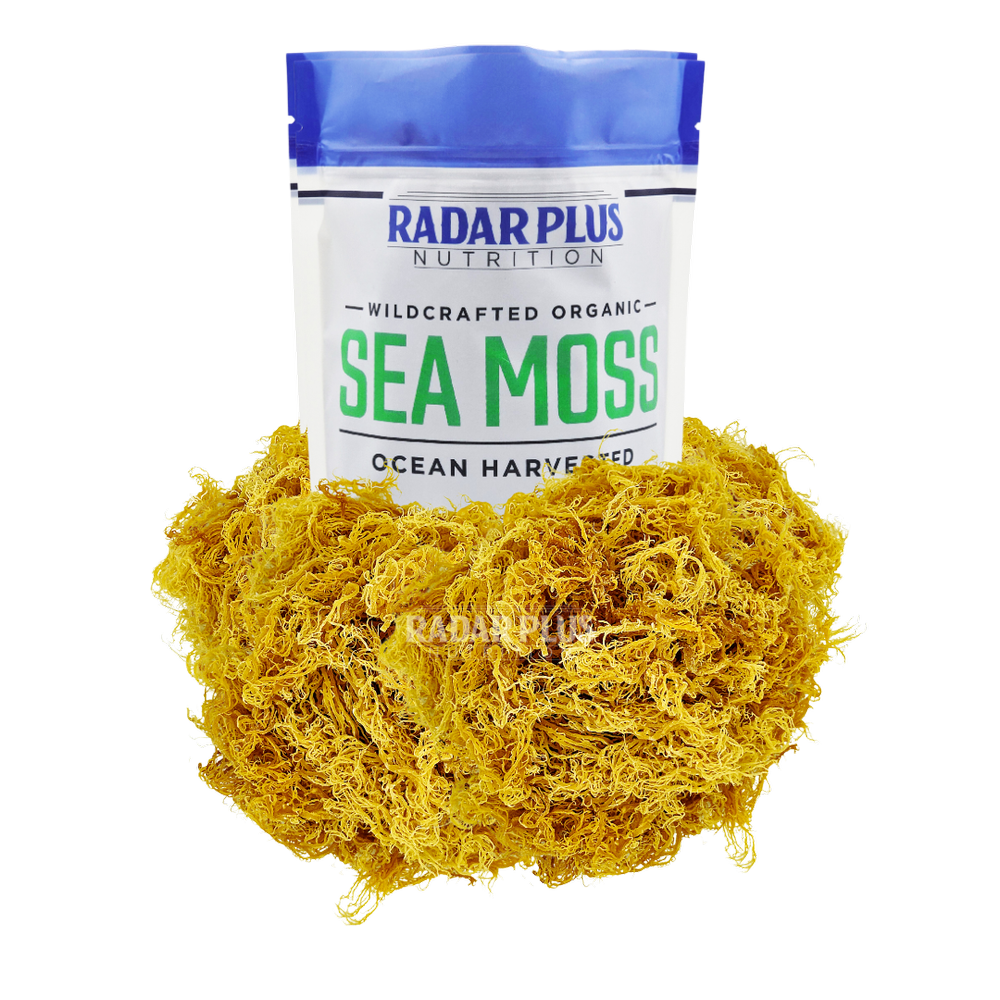 Gold, Purple & Irish Sea Moss | Sustainably Sourced | Radar Plus Nutrition