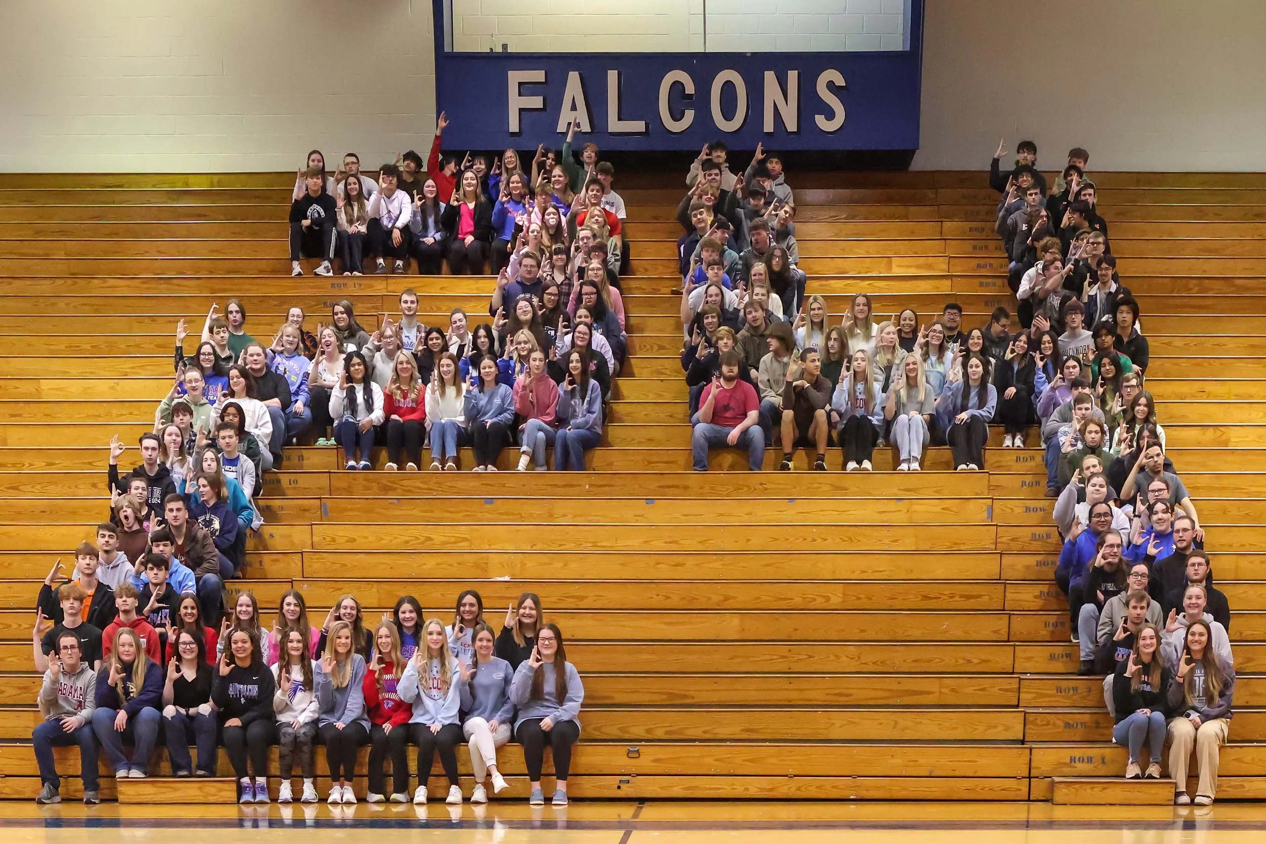 falconsportsonelc.com