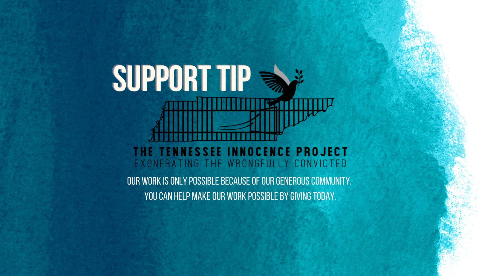 Tennessee Innocence Project