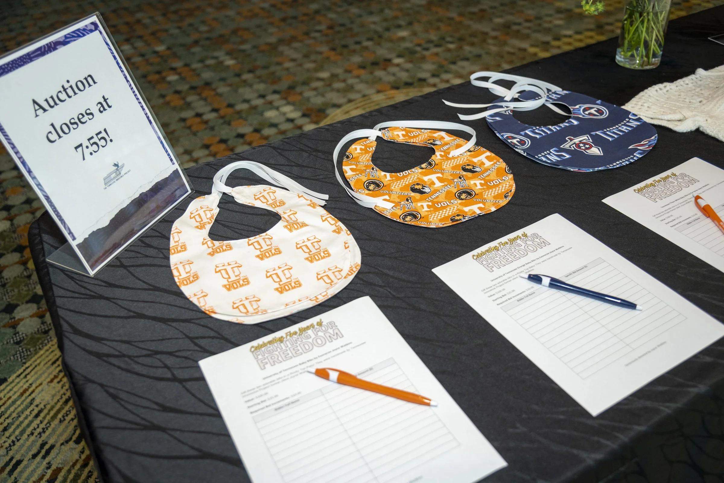Gallery 3 — Tennessee Innocence Project