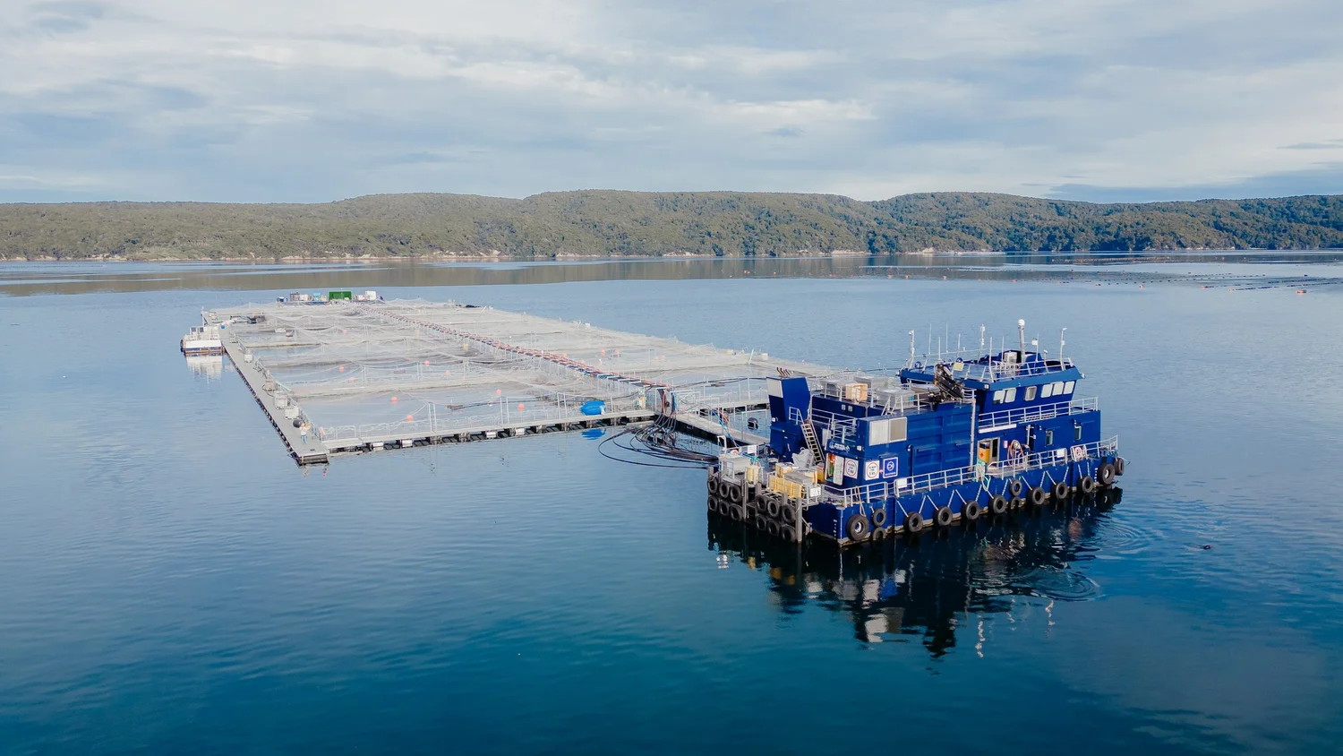 Commercial Photography And Videography — Black Feather Studio