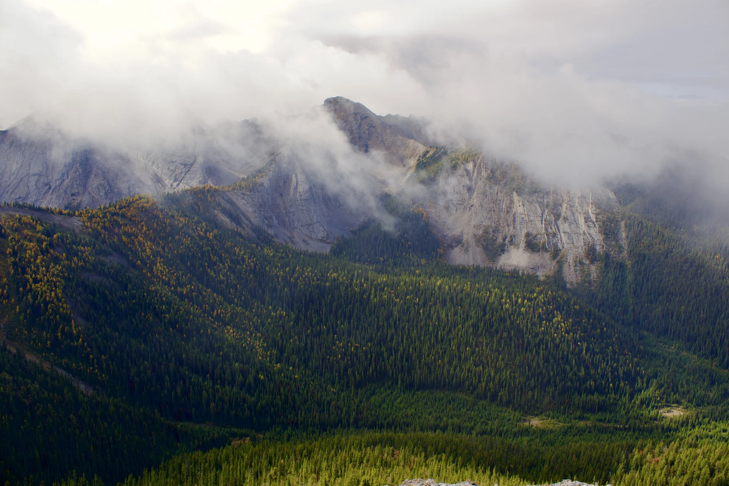 Threats to caribou — Caribou Conservation Alliance