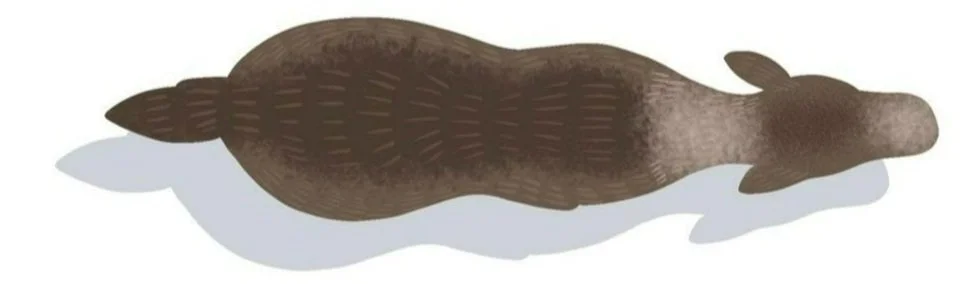 Milu — Caribou Conservation Alliance