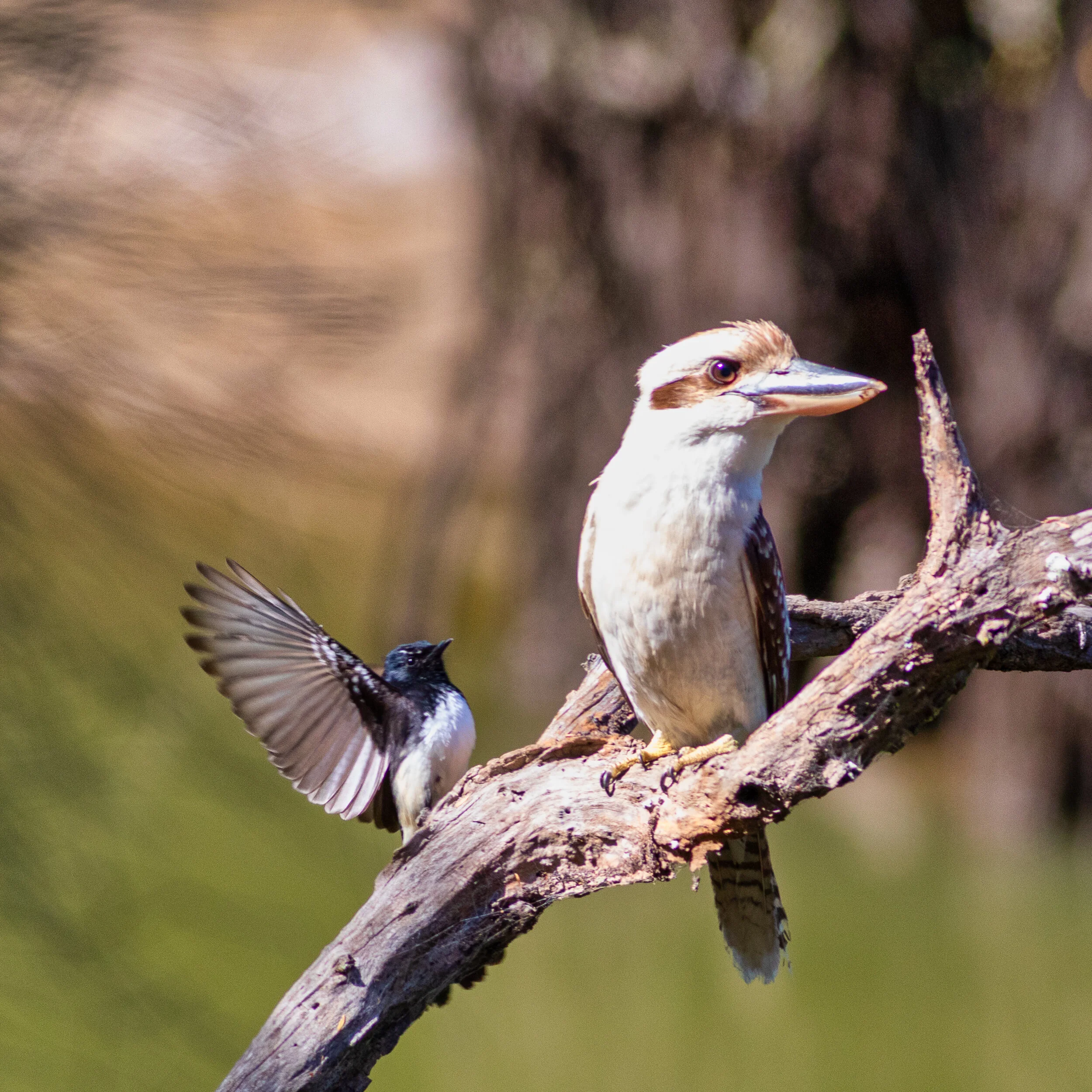 Home [www.gohard.photography]