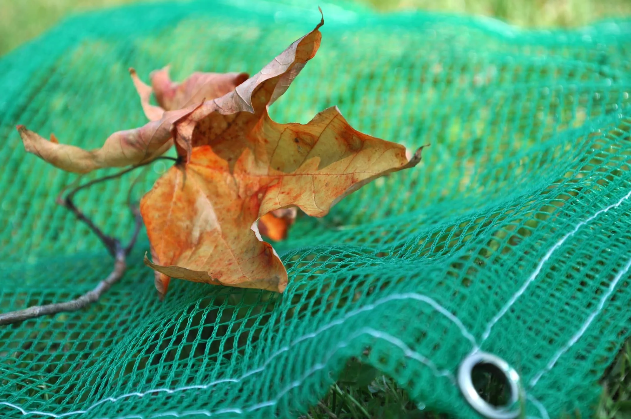 No Rake Nets - Never rake your leaves again