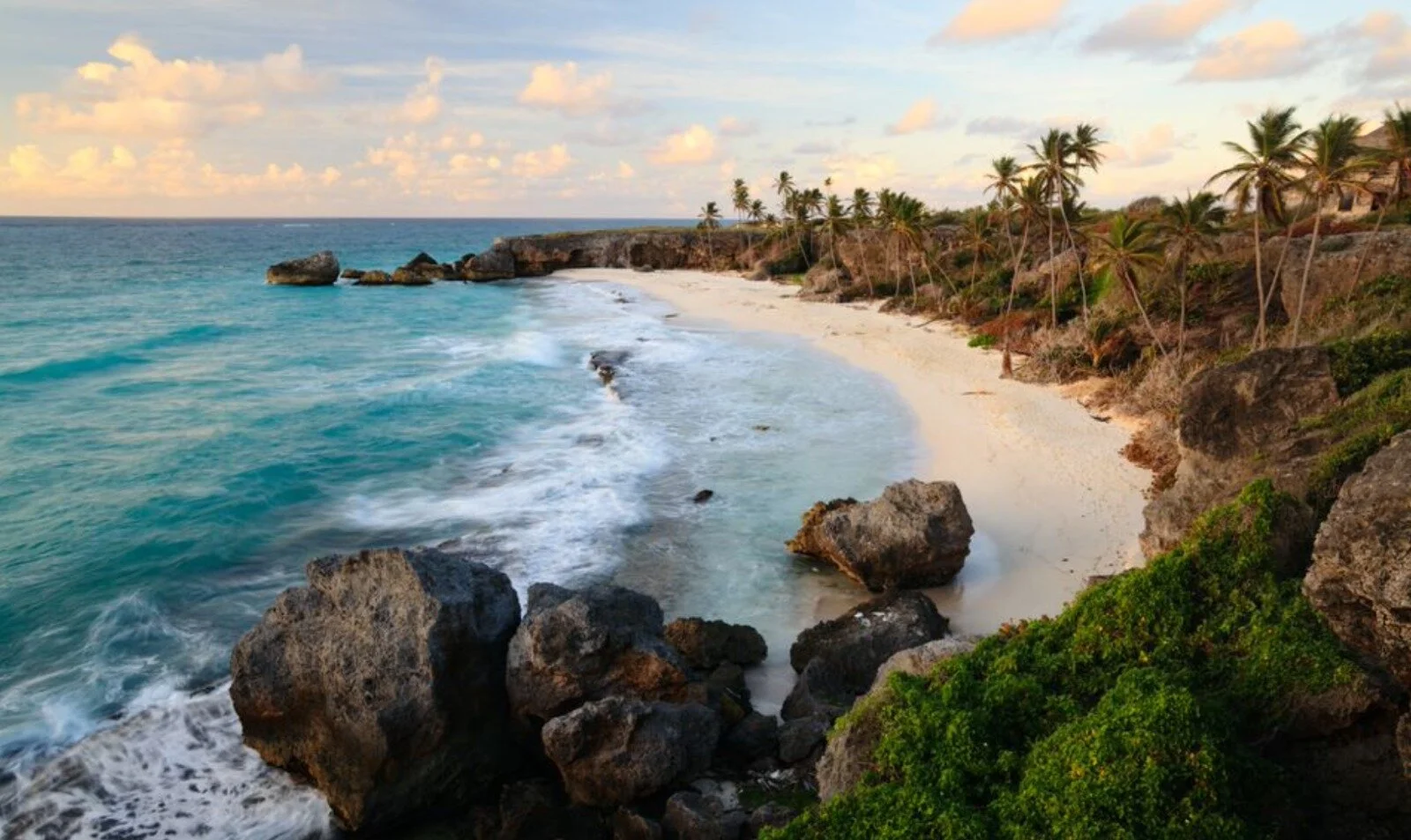 Barbados Chapter — Project Discovery Caribbean