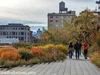 A Picturesque Fall Foliage Walk through NYC’s Iconic Neighborhoods ...