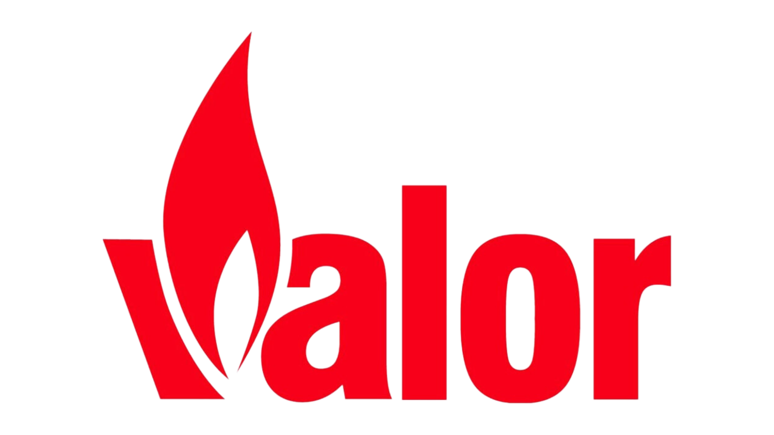 Fireplace Service and Repair in Cleveland