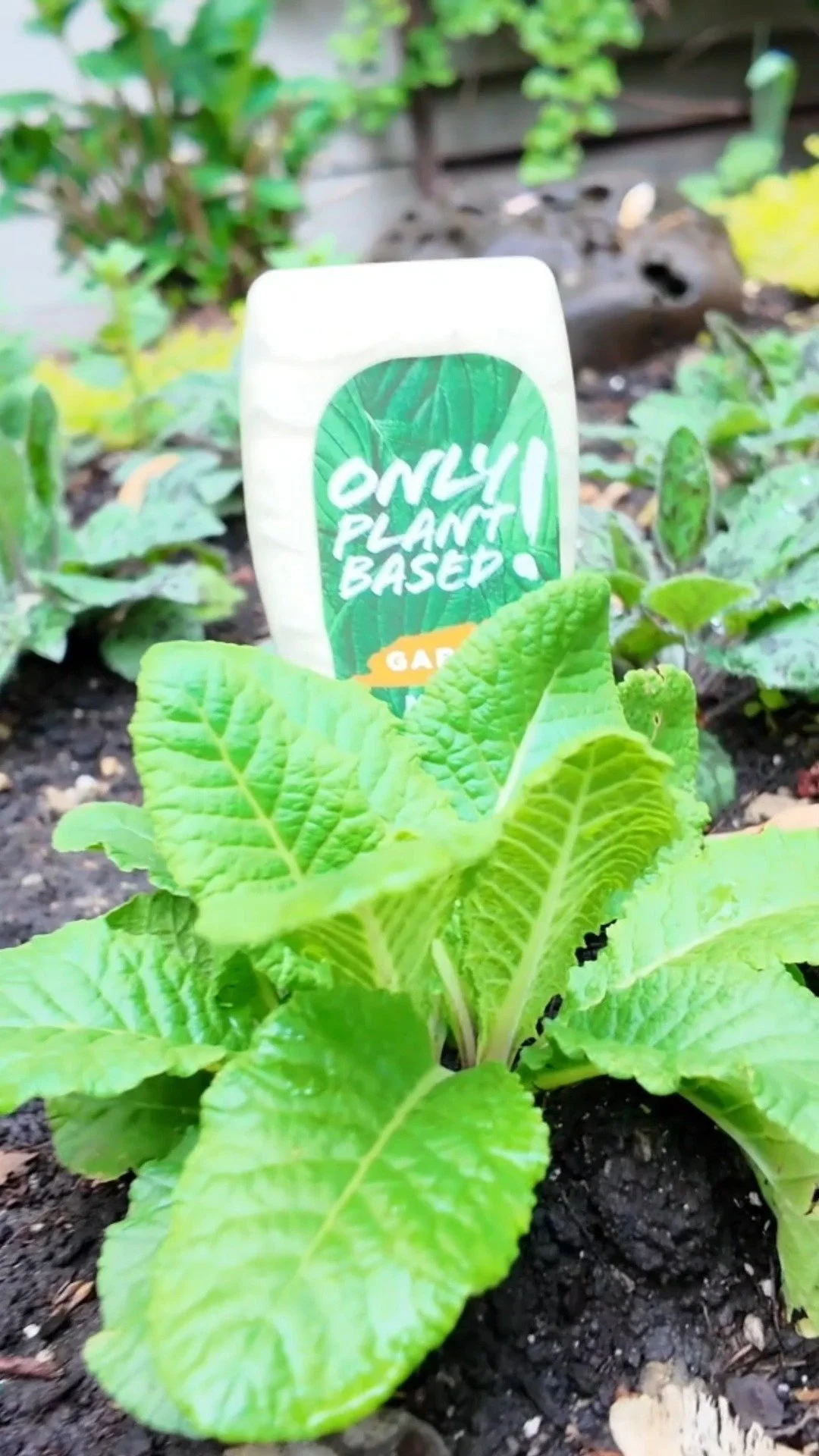 Only Plant Based!