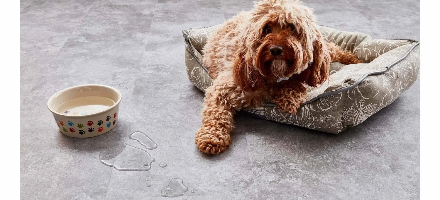 10 Pet Friendly Interior Design Ideas For Your Home | The Living House ...