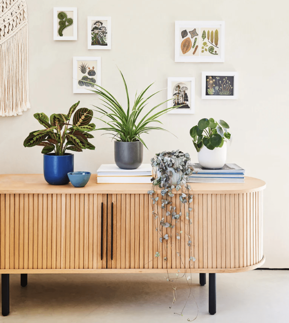 10 Pet Friendly Interior Design Ideas For Your Home | The Living House ...