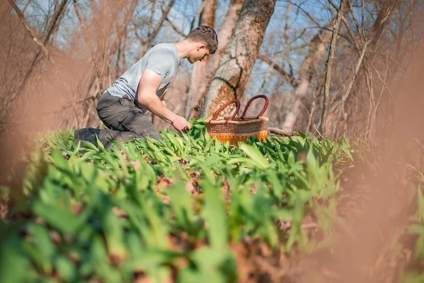 The Ultimate Foraging Gear List: Be Prepared For Anything — Year Of Plenty