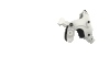 iPhone Mocap Helmet - MOCAP Design