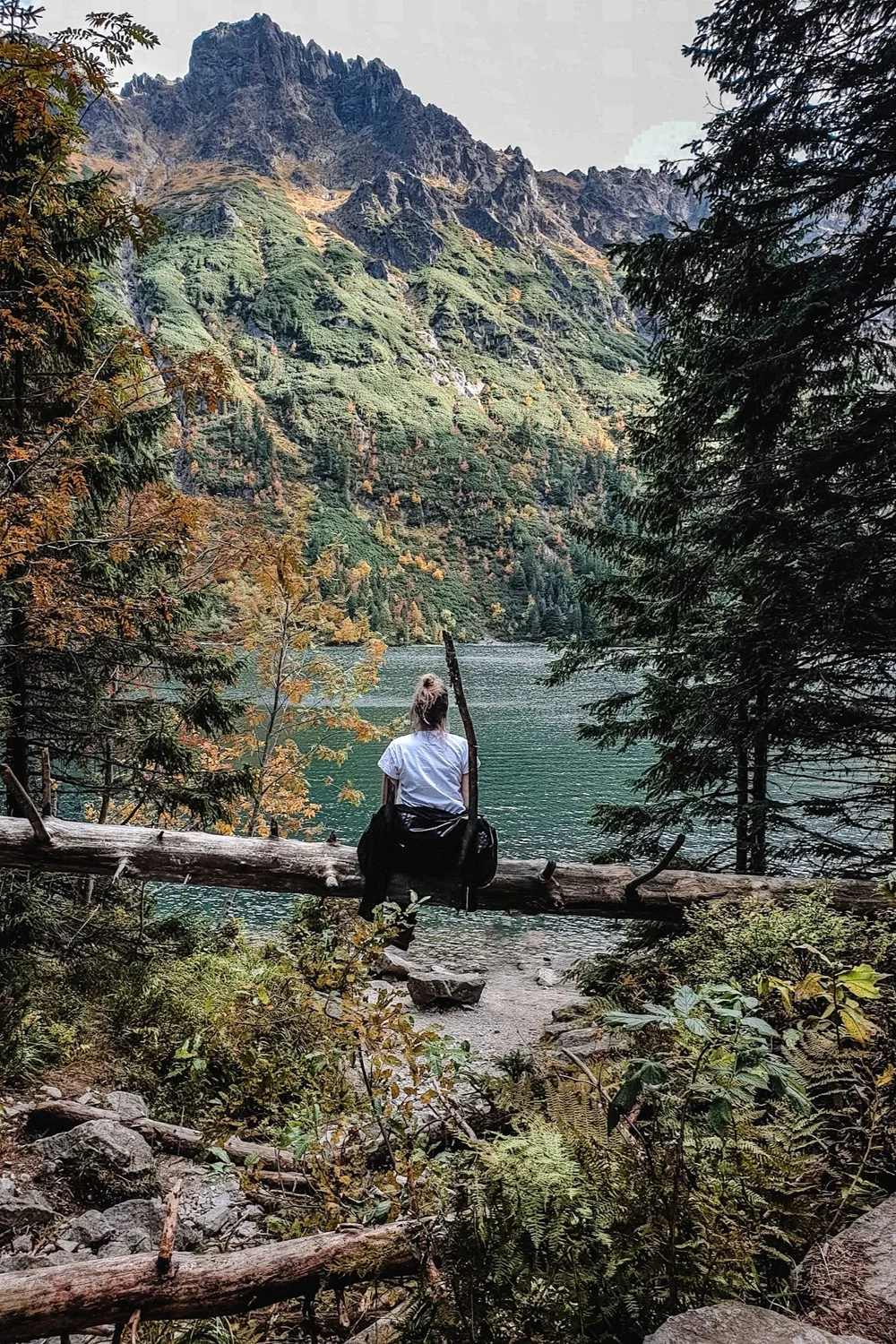 Zakopane in Summer: What to See, Where to Stay & Fun Activities to Do ...