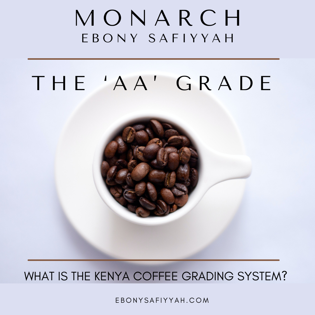 Kenya Coffee Grading System Explained — MONARCH | EBONY SAFIYYAH