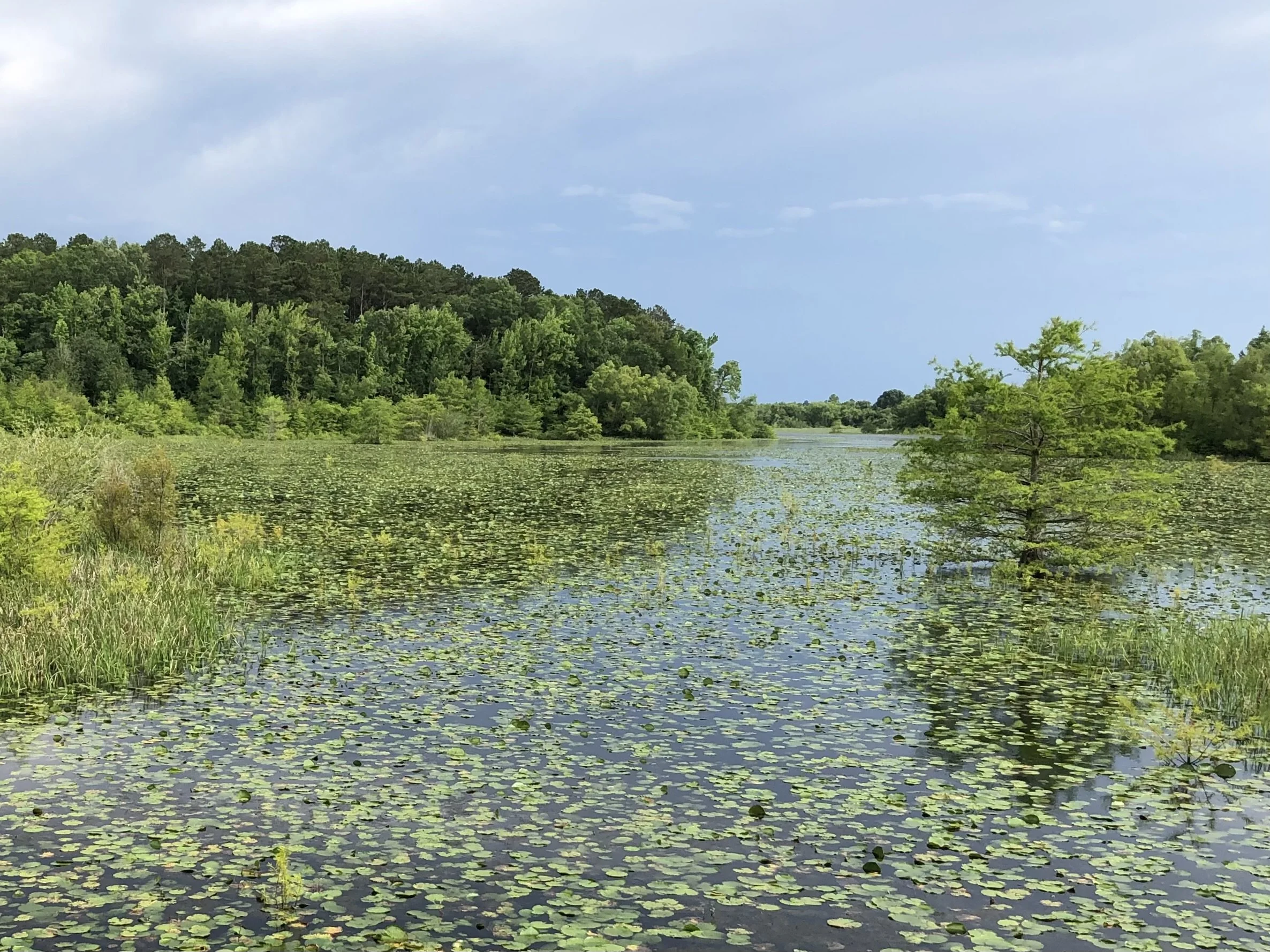 Lab News — Wisnoski Lab