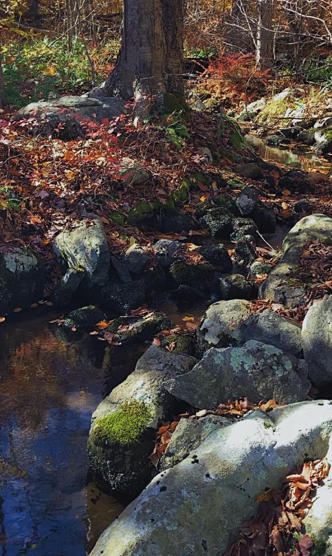 We'll Forget Together — Synthesis Publications