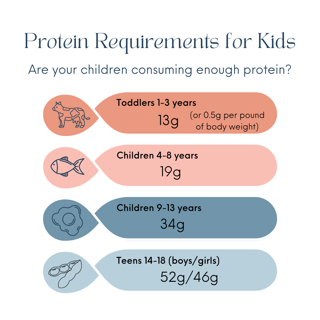 Protein: The Superhero Nutrient — House Calls for Kids