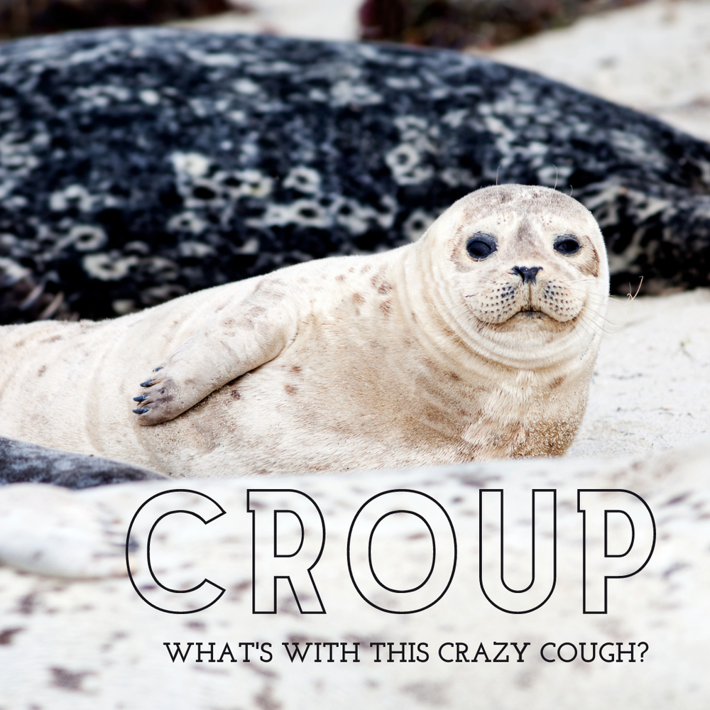 CROUP…What’s with this cough? — House Calls for Kids