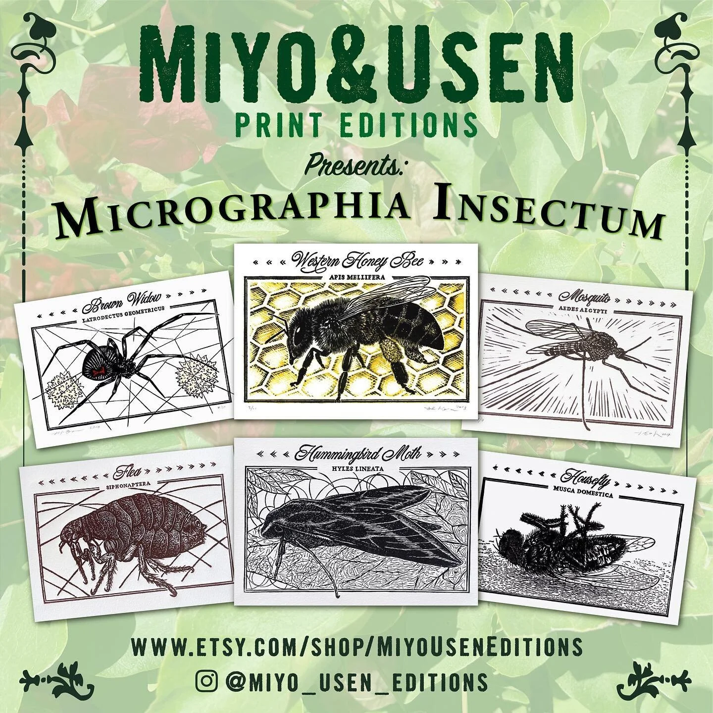 Miyo Stevens-Gandara