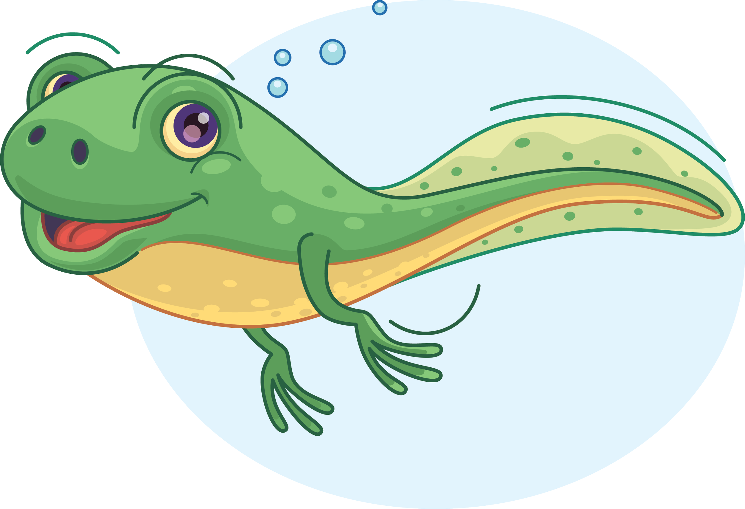 Learn to Swim — Splash Leisure