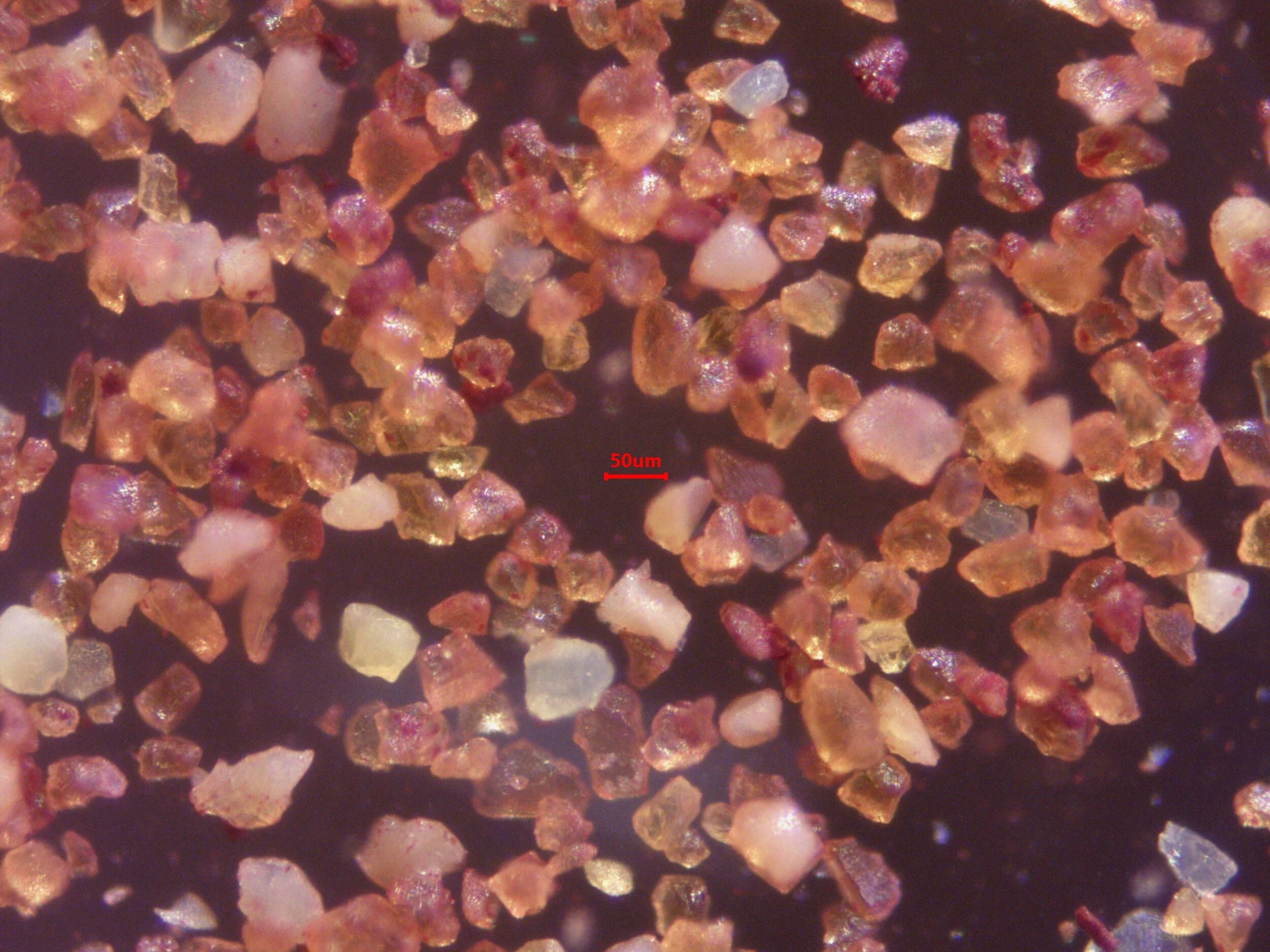 CPO® — Pharmako Biotechnologies