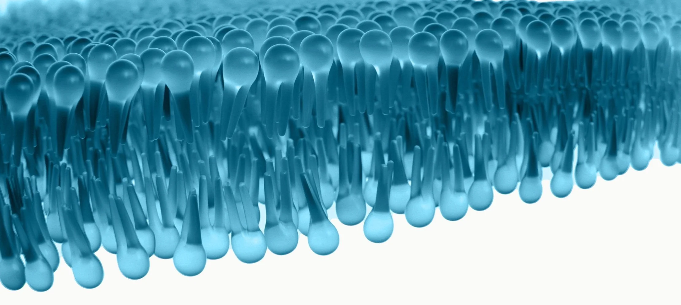 PlexoZome® is Pharmako’s scientifically proven complex liposomal ...