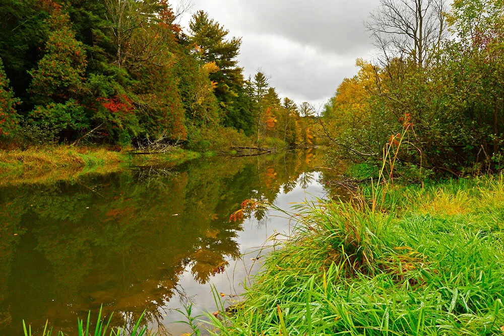 Parslow Road Conservation Area — Otsego Land Trust