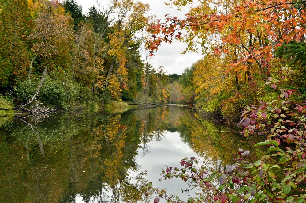 Parslow Road Conservation Area — Otsego Land Trust