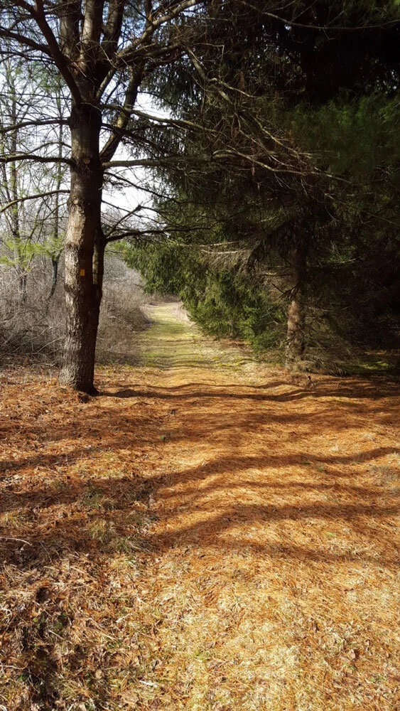 Parslow Road Conservation Area — Otsego Land Trust