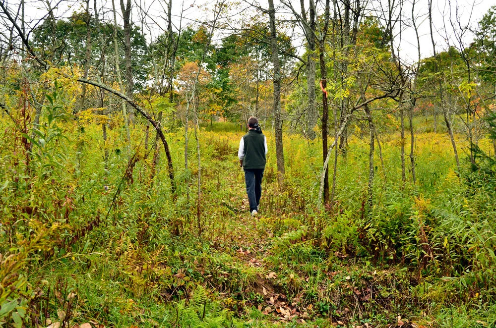 Parslow Road Conservation Area — Otsego Land Trust
